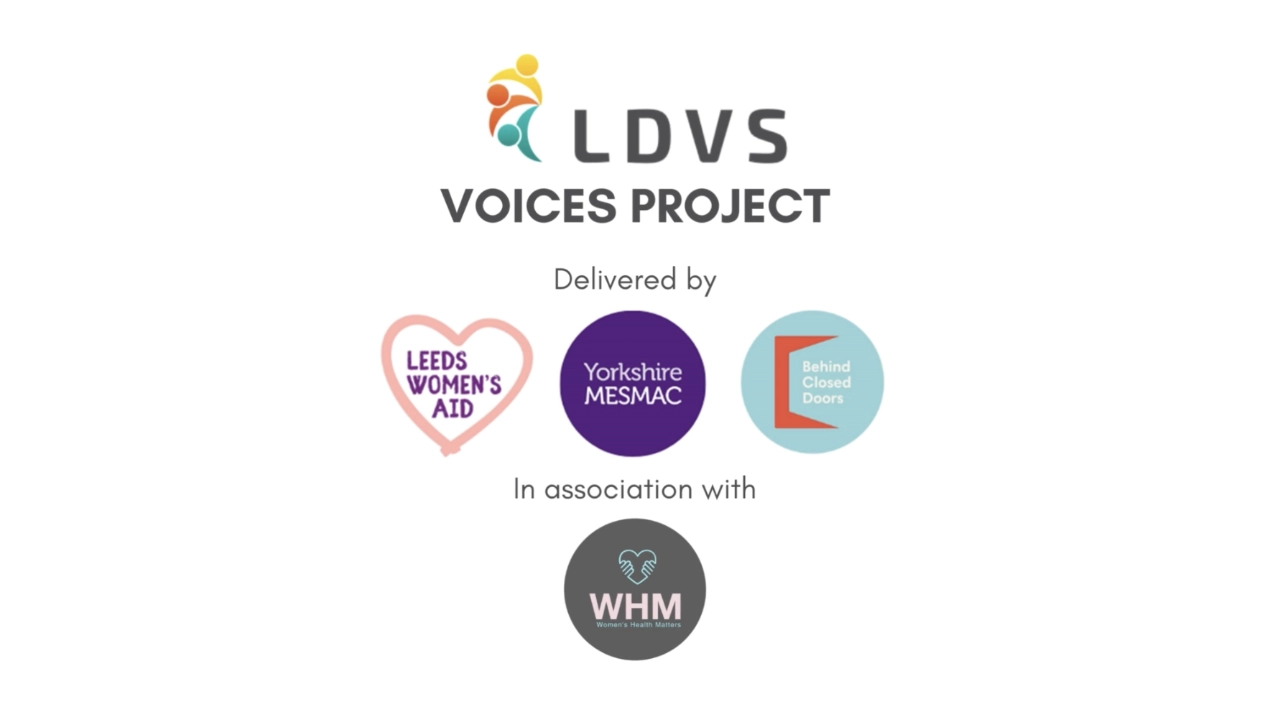 Voices Project – Engaging Survivors to Create Change - LDVS